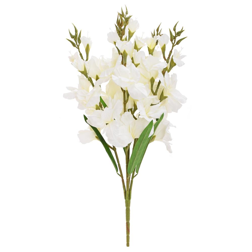 KYTICA GLADIOLA x5 75CM BIELA | FLORASYSTEM